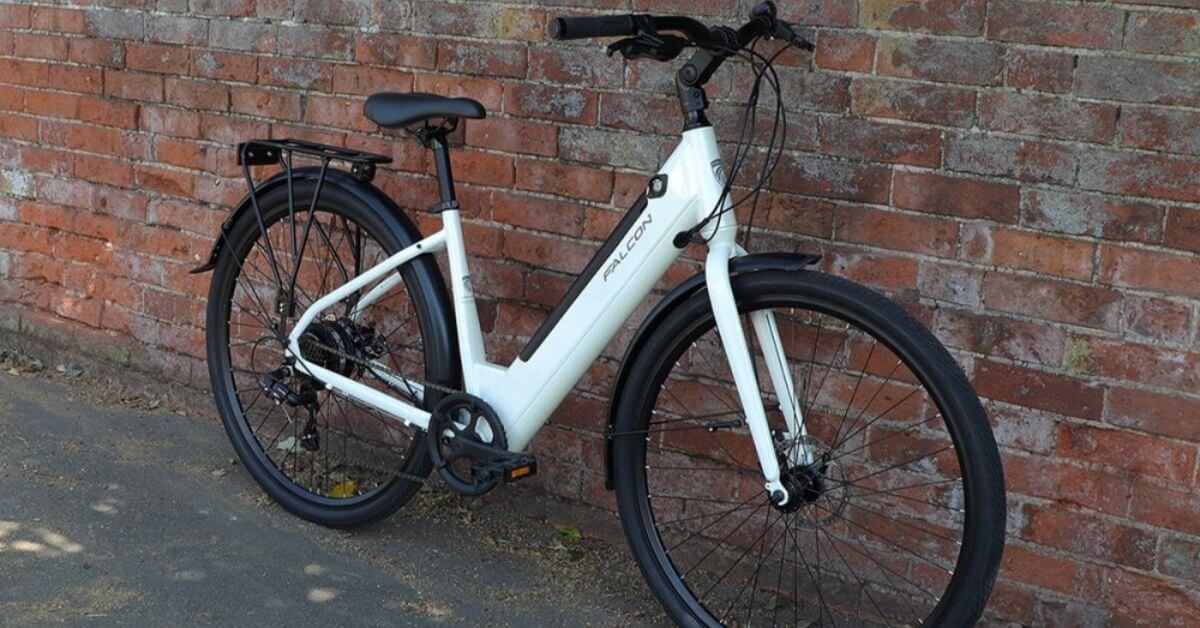 Falcon Electric Bike Review - Key Features, Performance & Value – Eco ...
